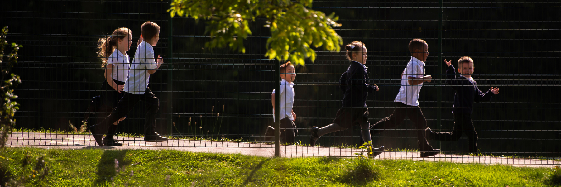 Oasis | Silver Springs